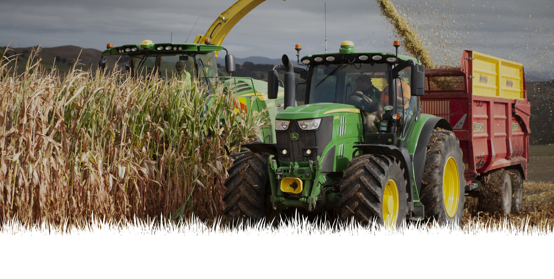Grass, Maize and Multi-Crop Silage Inoculant and Consumables | Quality ...